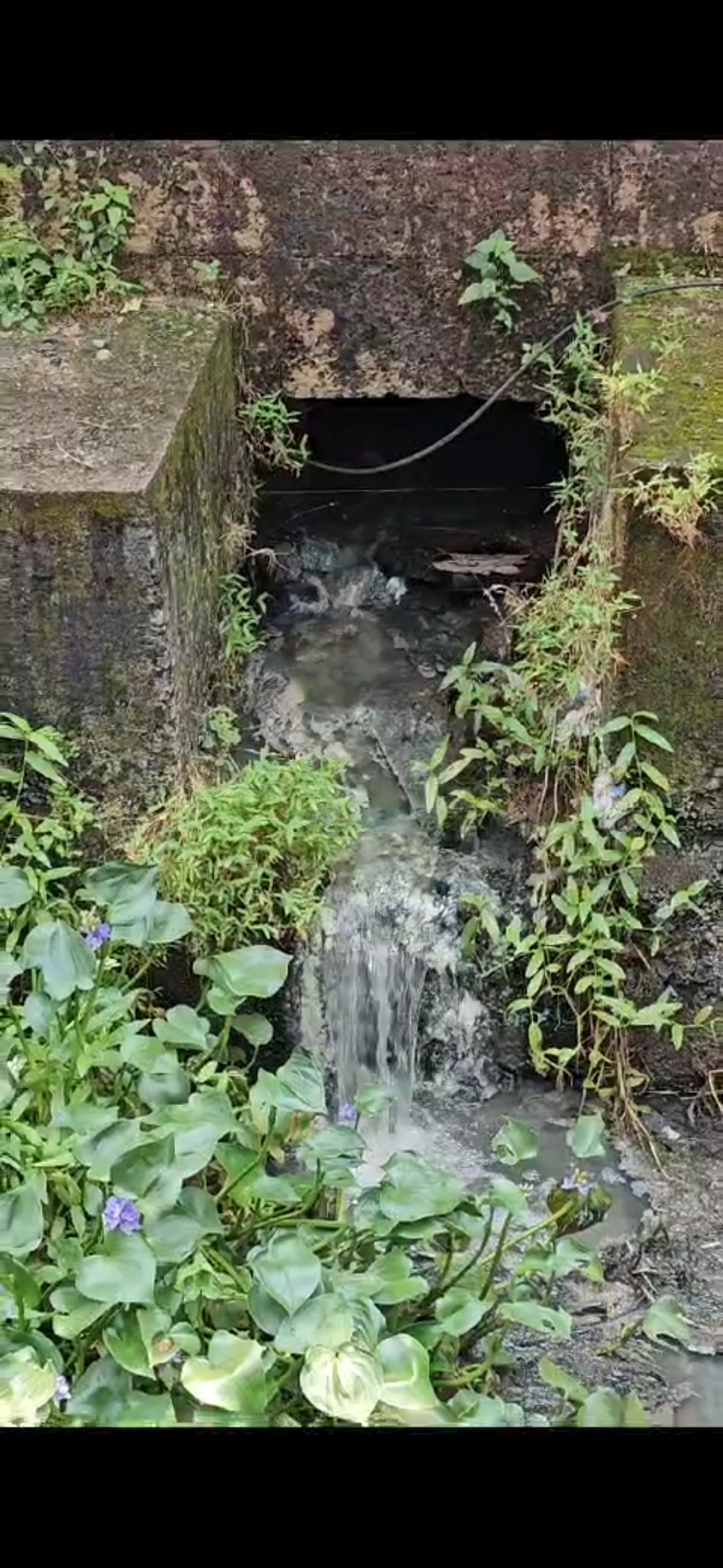 The Goan EveryDay: South district Collectorate septic tank found ...