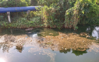 The Goan EveryDay: Pollution, stagnation of Mapusa river dominates ...
