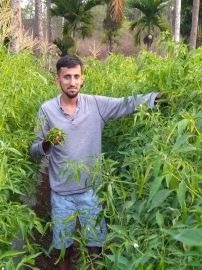 The Goan EveryDay: Floriculture flourishes in Goa