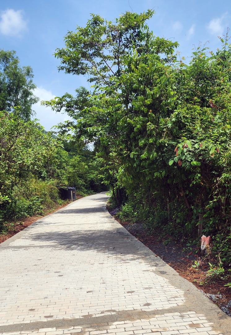 The Goan EveryDay: New Valpoi-Belagavi route opened for light vehicles