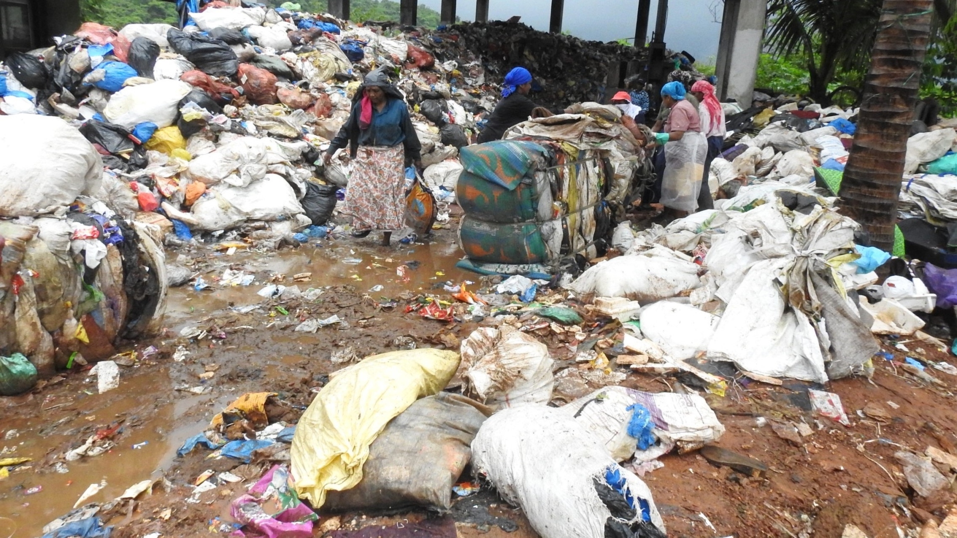 The Goan EveryDay: Women workers engaged in dry waste baling at Sonsodo ...
