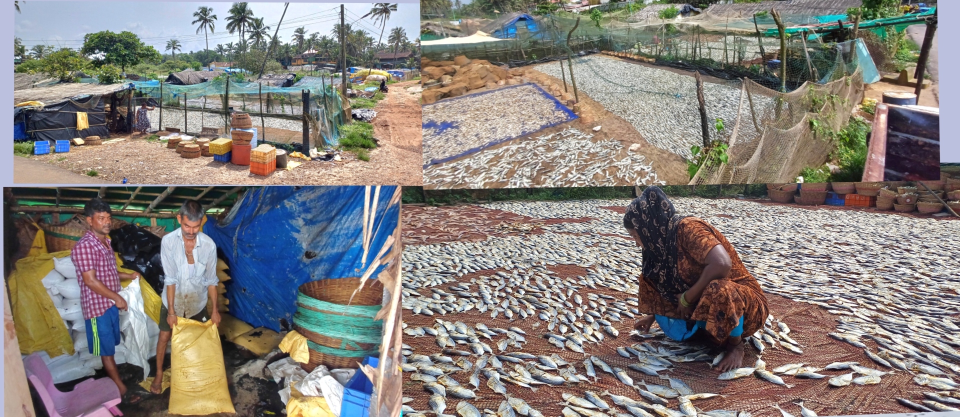 The Goan EveryDay: In deep waters: Development plans at Colva coast ...