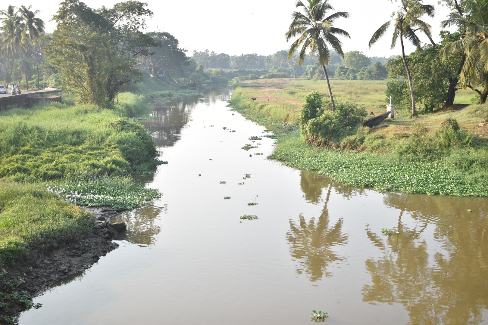 The Goan EveryDay: Western bypass is ready, but comprehensive drainage ...