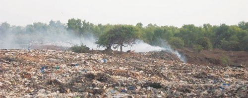 The Goan EveryDay: First forest killer, now spring killer