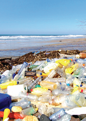 The Goan EveryDay: More plastic on Maha beaches than K’taka, Goa: NIO study