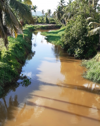 The Goan EveryDay: Rs 16 cr project launched to de-silt River Sal stretch