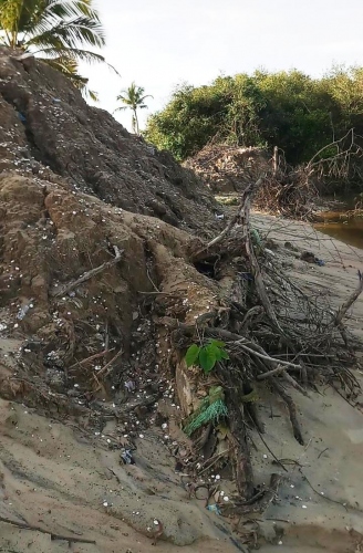 The Goan EveryDay: Alarm bells as de-silted sediment flows into Sal
