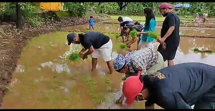 The Goan EveryDay: RG transplants paddy under ‘Green Goa’