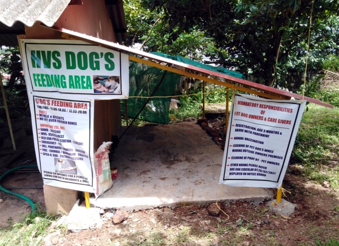 The Goan EveryDay: Senior citizen works out feeding model for strays