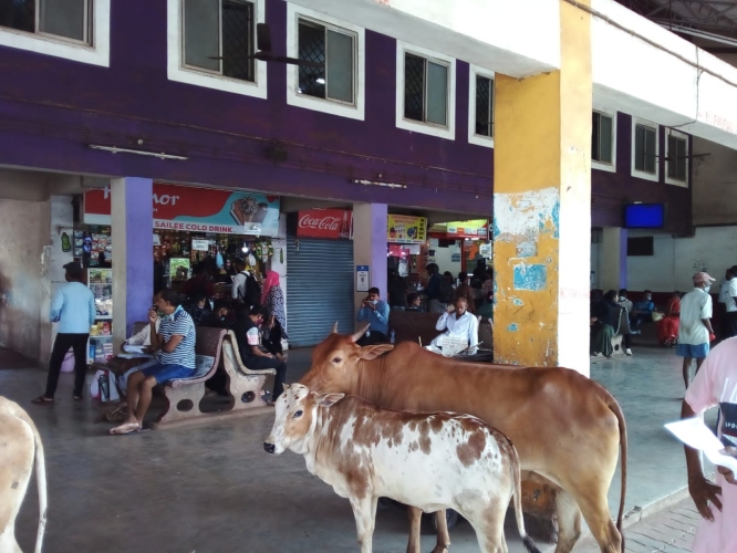 The Goan EveryDay: Safety of passengers: Monitoring cell fails to meet ...