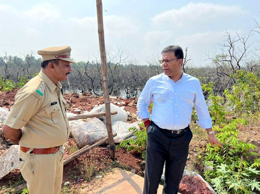 The Goan EveryDay: Forest Minister vows action over destroyed mangroves ...