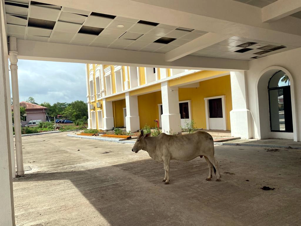 The Goan EveryDay: Rs 52 cr Tuem hospital turning into cattle shed?