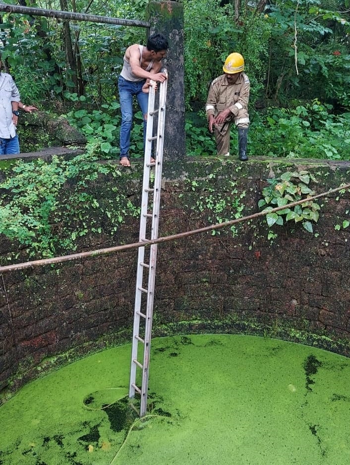 The Goan EveryDay: Sao Joao festivities end in tragedy at Navelim as ...