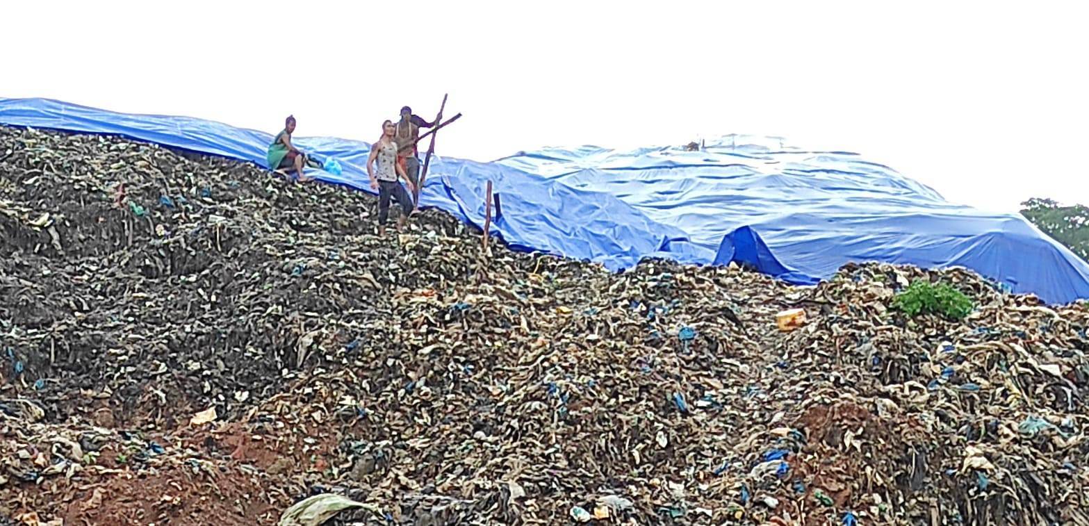 The Goan EveryDay: ﻿GWMC on the job to cover portion of uncovered dump ...