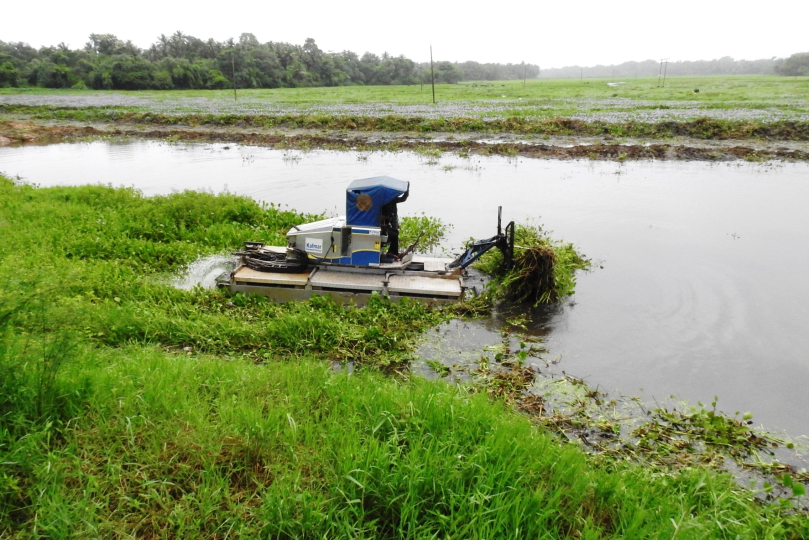 The Goan EveryDay: De-weeding of Tolleaband lake commences under ...