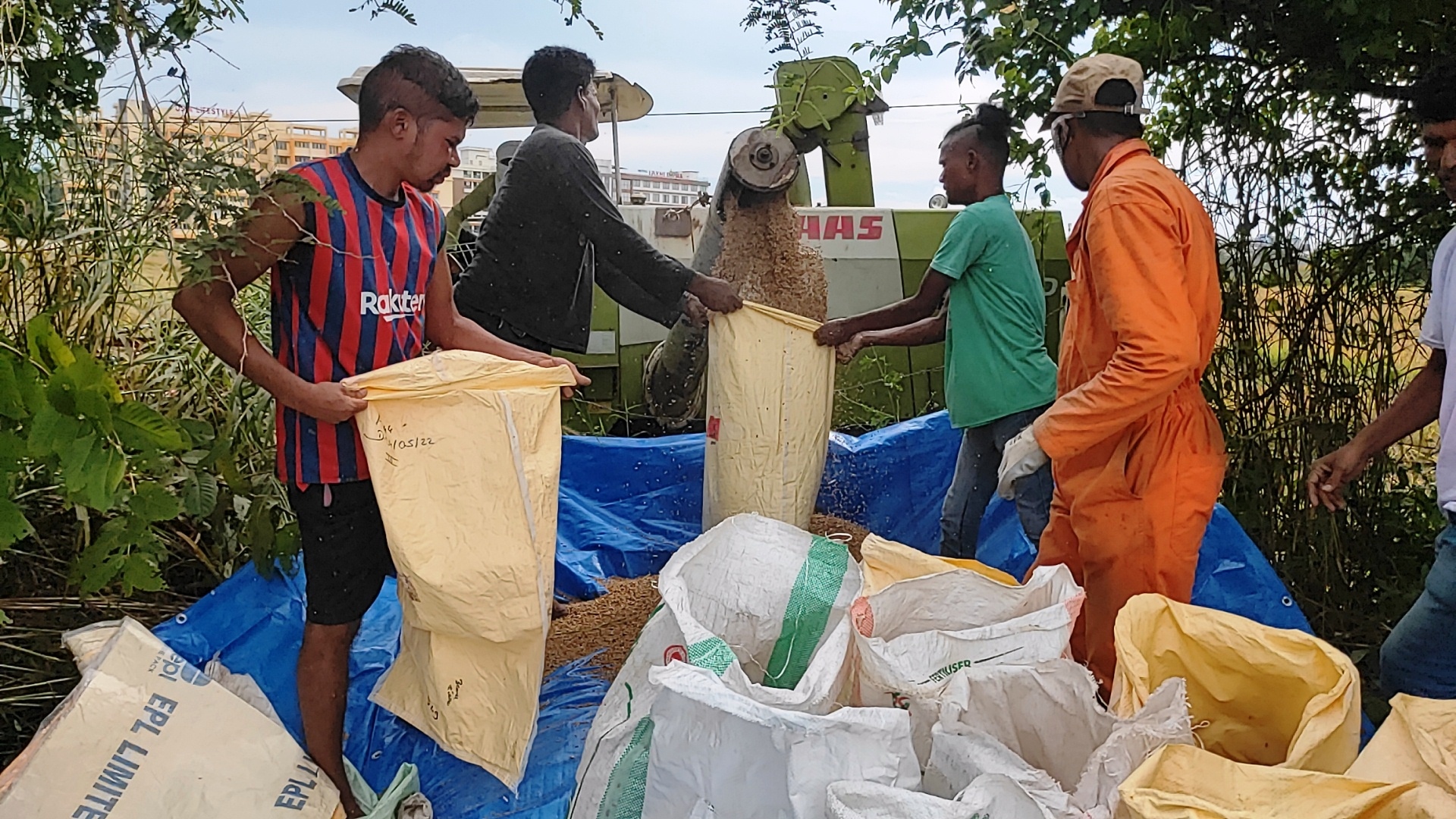 The Goan EveryDay: Joy and anxiety on faces of Rawanfond farmers as ...