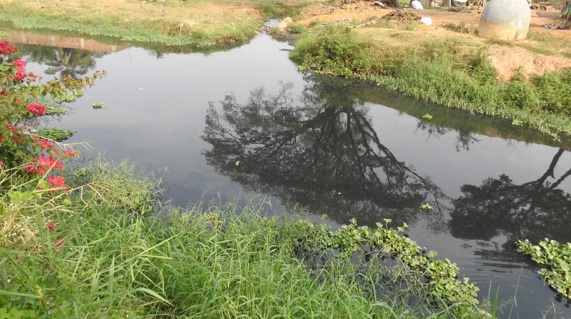 The Goan EveryDay: Sewage continues to flow into Sal, but why are there ...