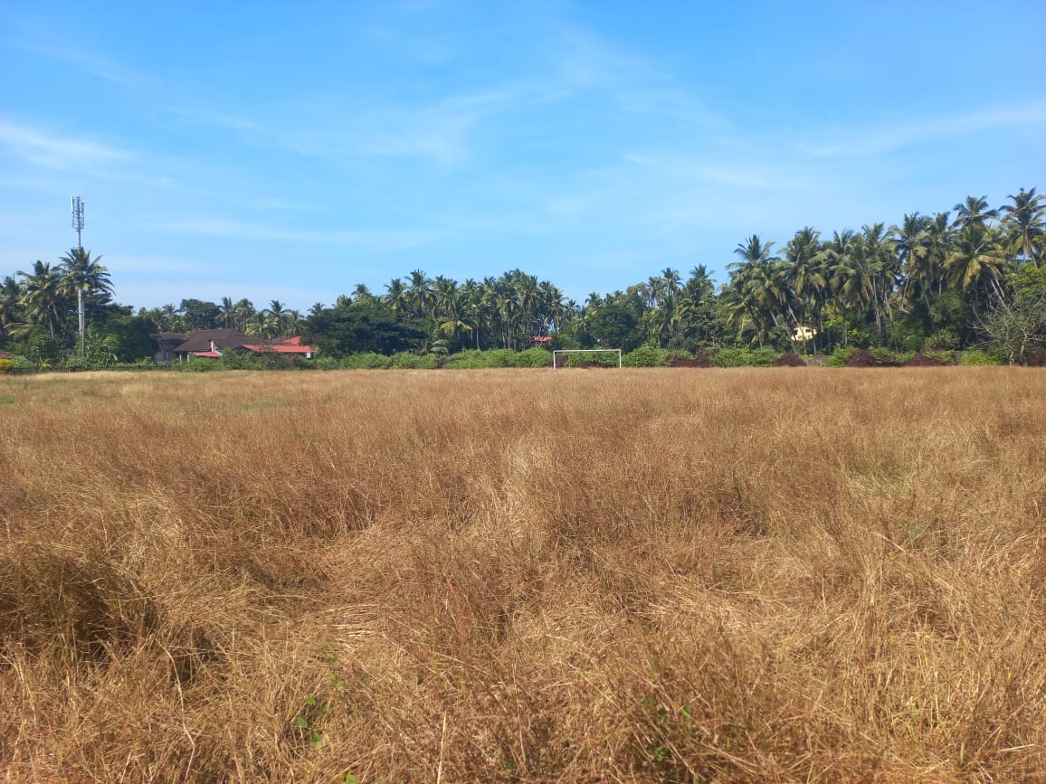 The Goan EveryDay: Neglected Assolna ground works to be taken up soon