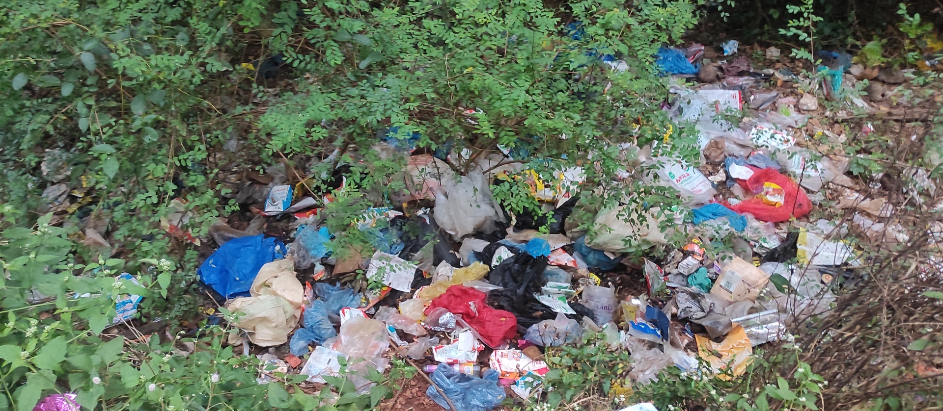 The Goan EveryDay: Waste dumping, sewage odour: Comba ring road too ...
