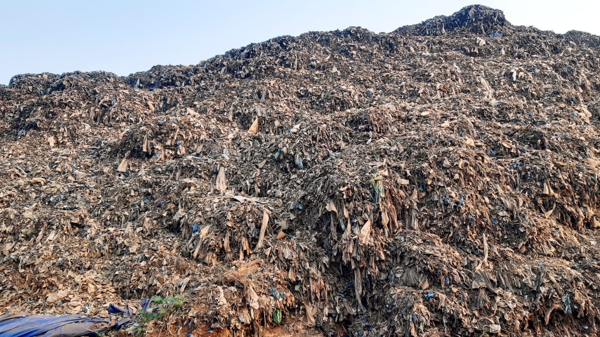 The Goan EveryDay: When HC had asked GWMC to take steps in transporting ...