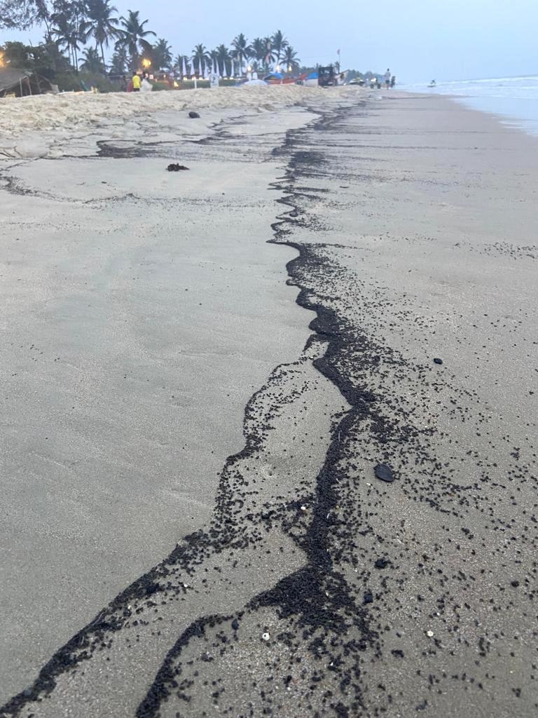 The Goan EveryDay: Tar ball menace returns to threaten Salcete’s coast